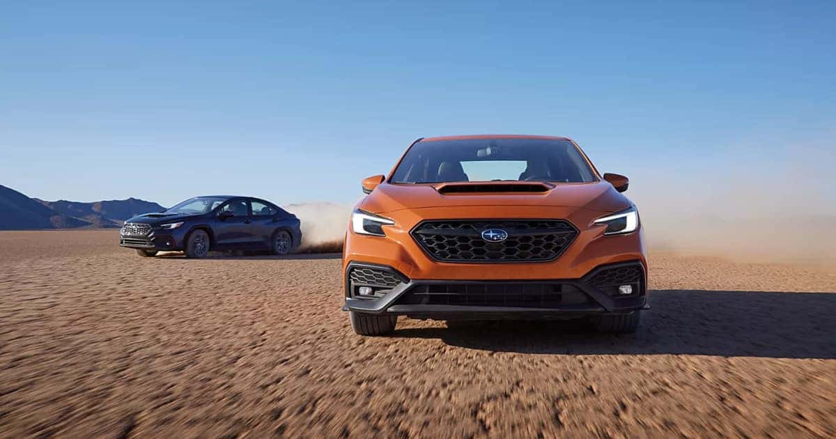 Subaru Wilderness Models & Features | Outback, Forester, Crosstrek