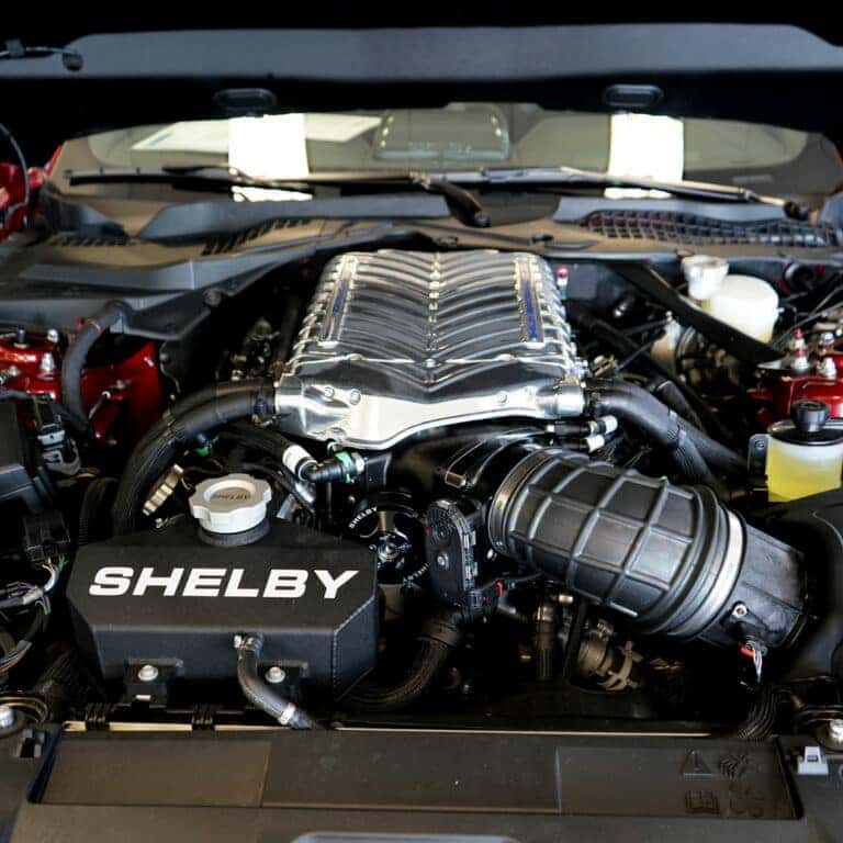 Dominating the Road: 2022 Supercharged Shelby Mustang Super Snake ...