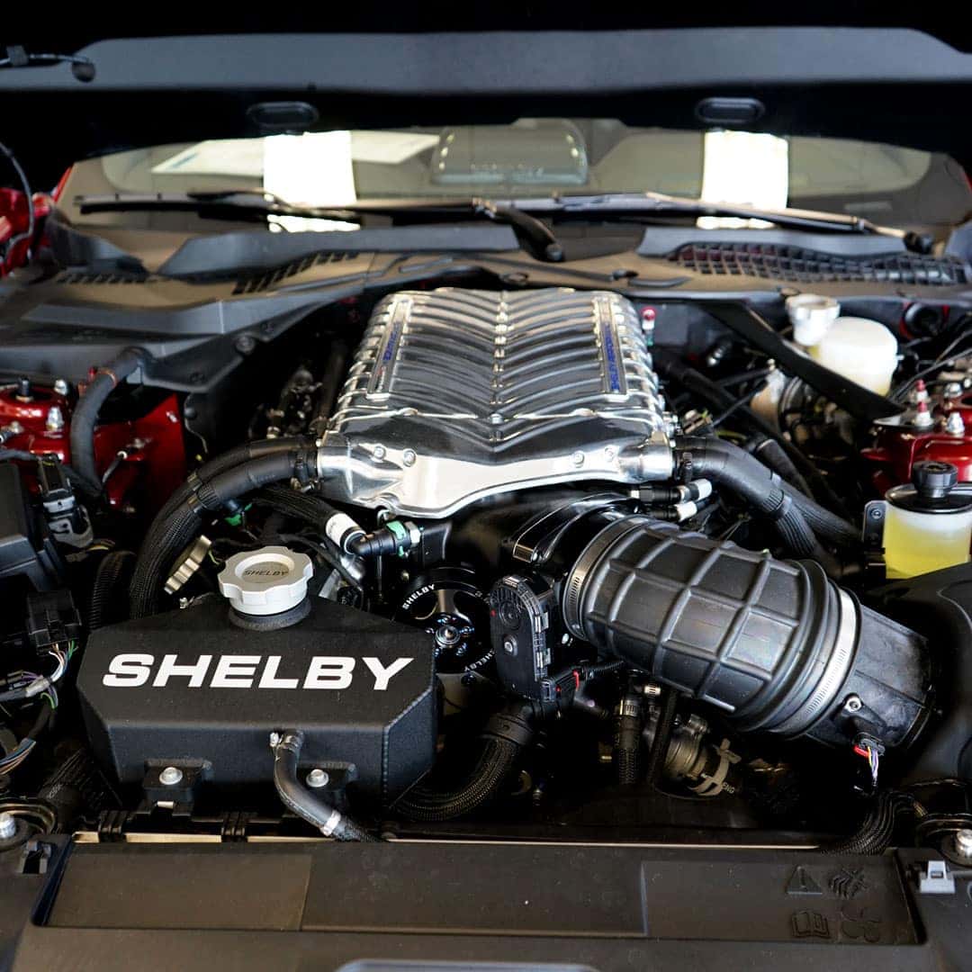 Dominating the Road: 2022 Supercharged Shelby Mustang Super Snake Review | Dave Arbogast