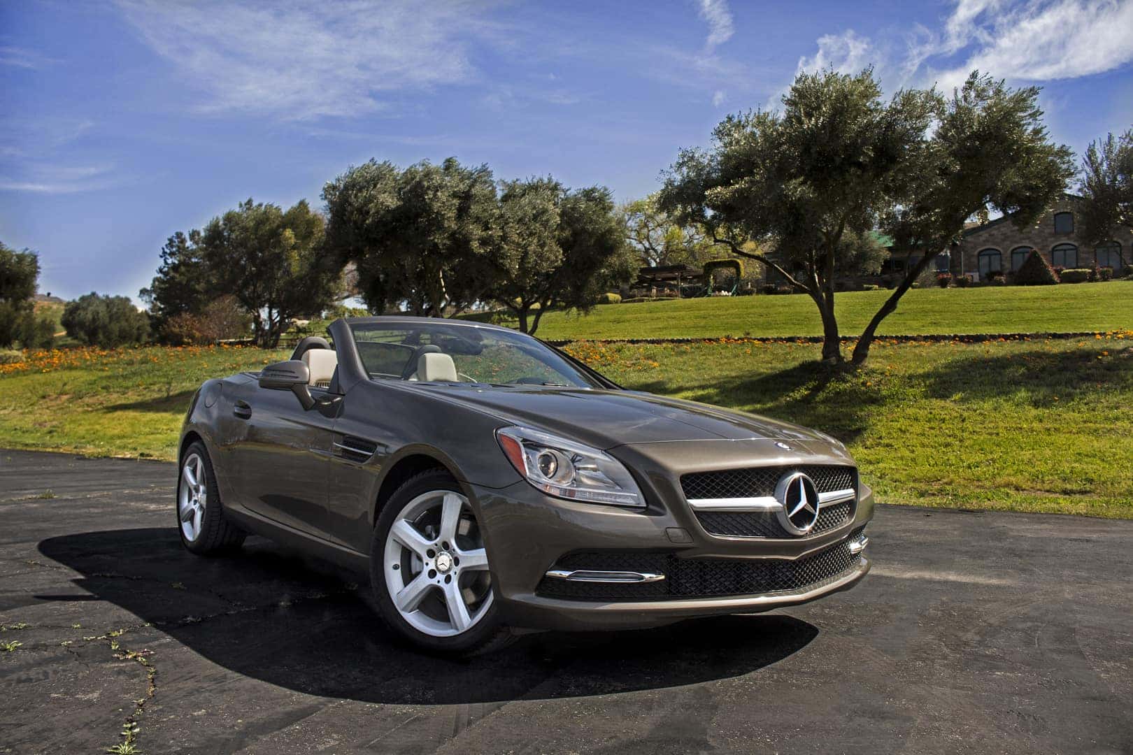 Wine Event: 22nd Annual Vintner's Celebration | Mercedes-Benz of Ontario