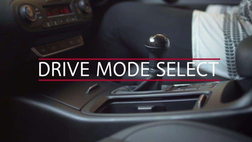 Gear Up for Fun: Shifting Options