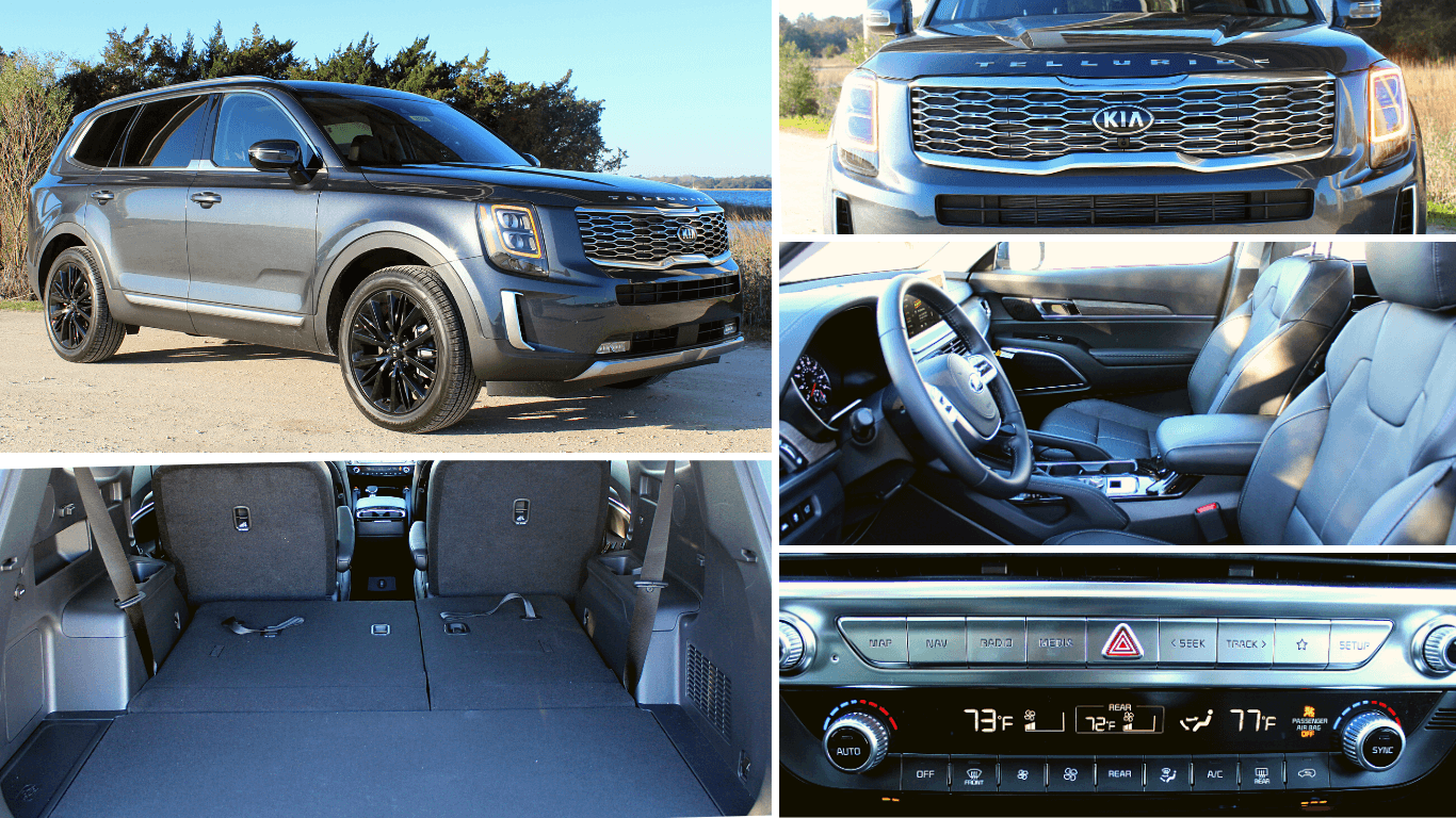 Why We Take Pictures