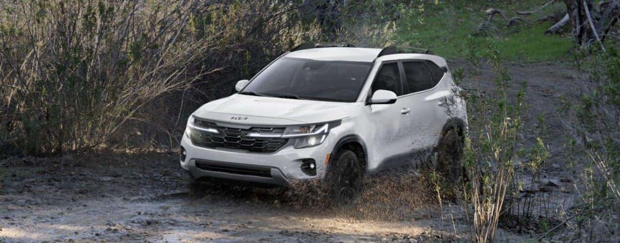 Kia Dealer Near Seymour | New and Pre-Owned Vehicles for Sale