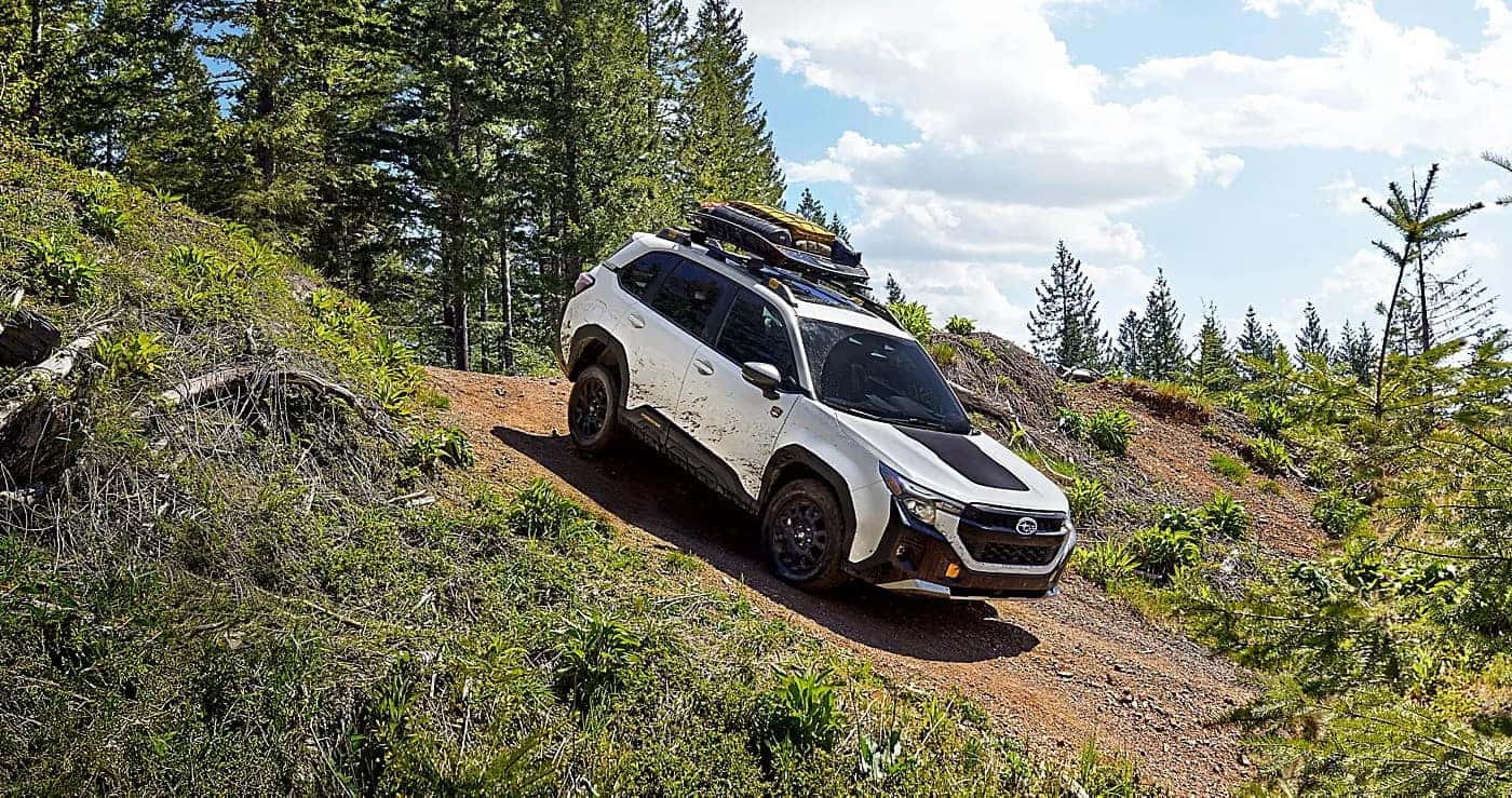 2026 Subaru Forester- Release Date | SB Subaru Manassas