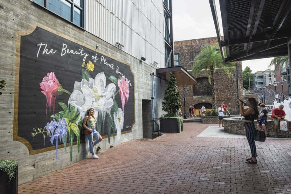Murals Around Fredericksburg | Safford CJDRF of Fredericksburg