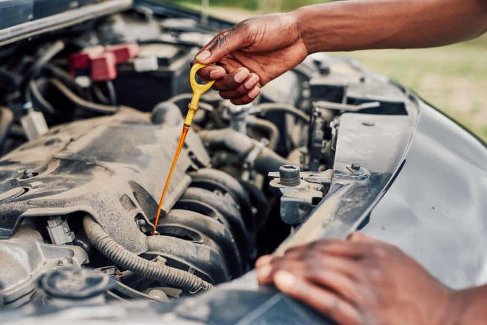 Learn How To Check Your Own Oil | Safford CJDRF of Springfield