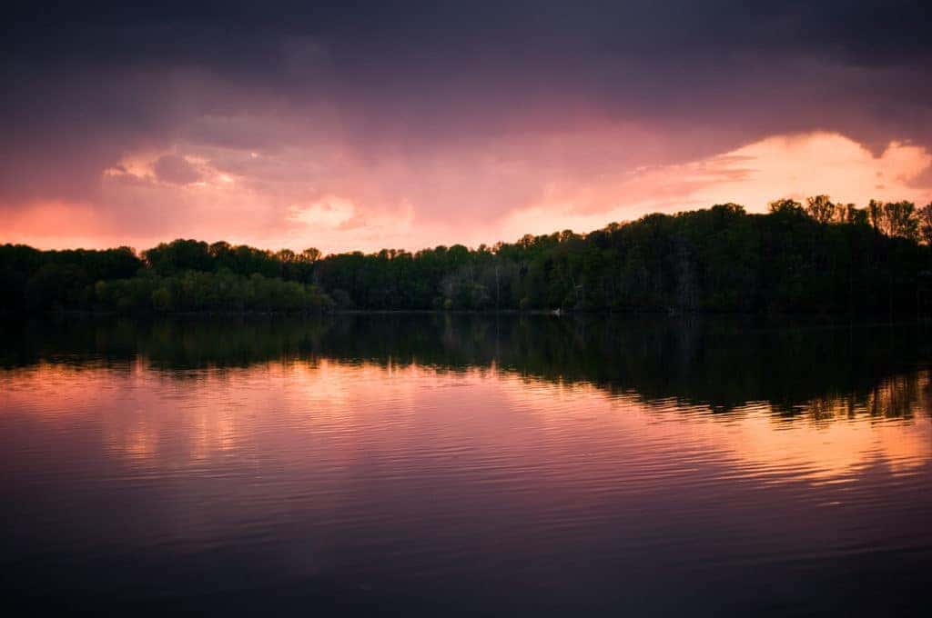 Enjoy Your Weekend At Lake Accotink Park | Safford CJDRF of Springfield